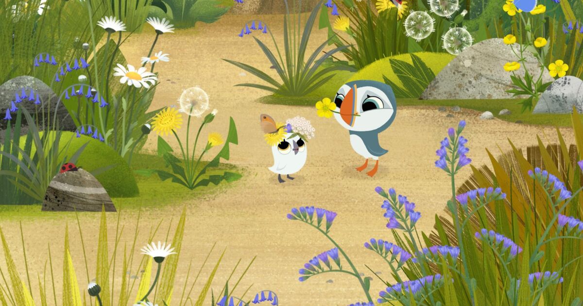 Activity Book - Puffin Rock Habitats